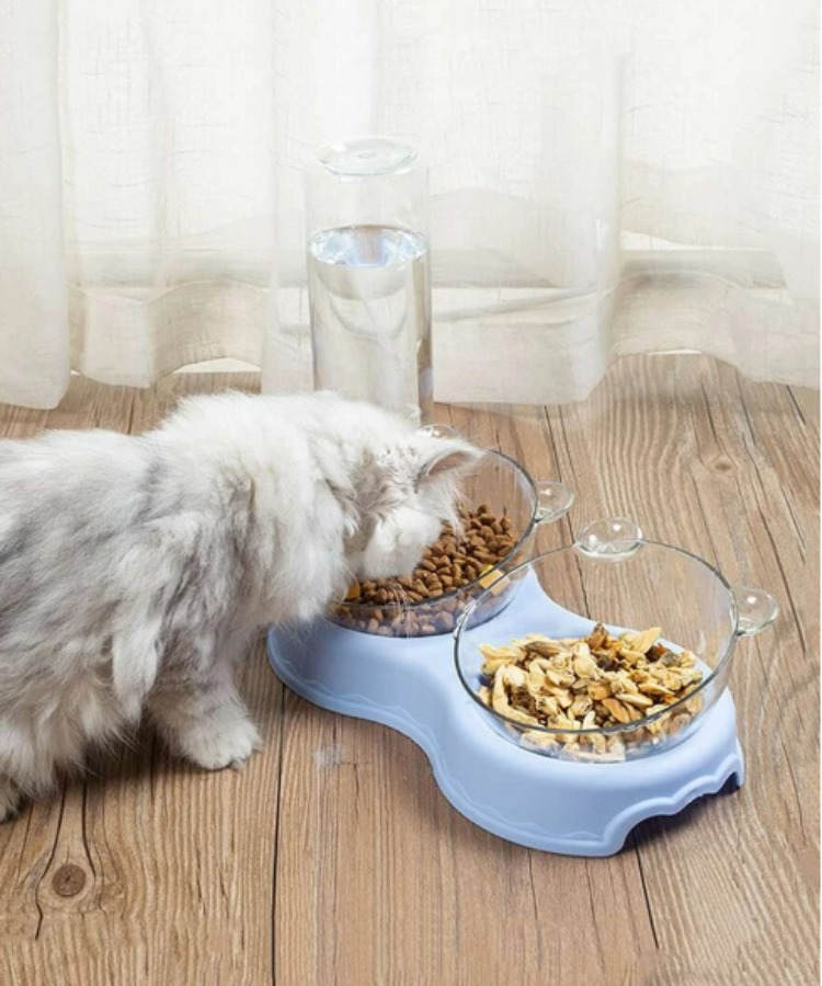 Electronic Pet Feeder - Wild Horizon